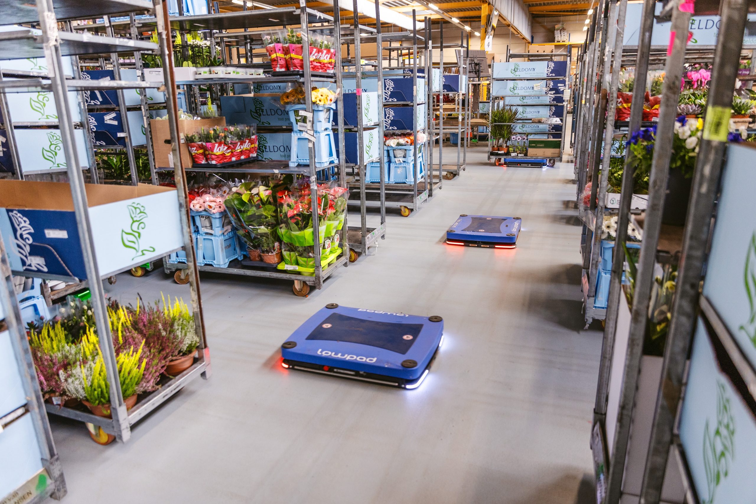 Kennissessie: 'Stapsgewijze logistieke automatisering' op ICT ...